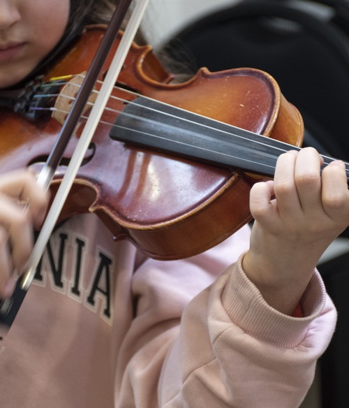 GrandNord Violon - Le Grand Nord